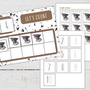 BAT Unit Study, Life Cycle, Anatomy, Nature Study, Science, Homeschool ...