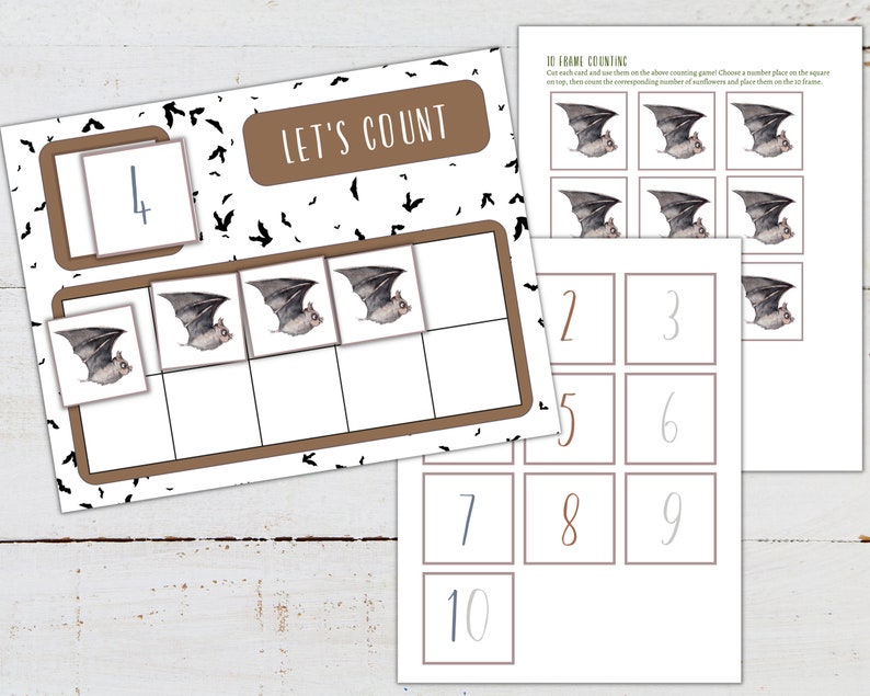 BAT Unit Study, Life Cycle, Anatomy, Nature Study, Science, Homeschool ...
