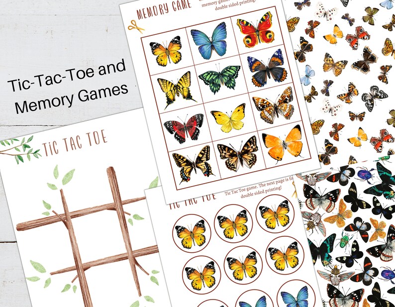 BUTTERFLY Unit Study Life Cycle Anatomy Species Nature - Etsy