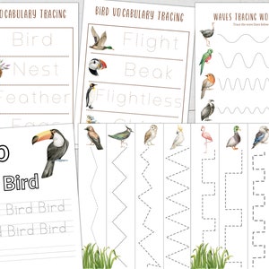 BIRD Unit Study, Life Cycle, Anatomy, Nature Study, Science, Homeschool ...