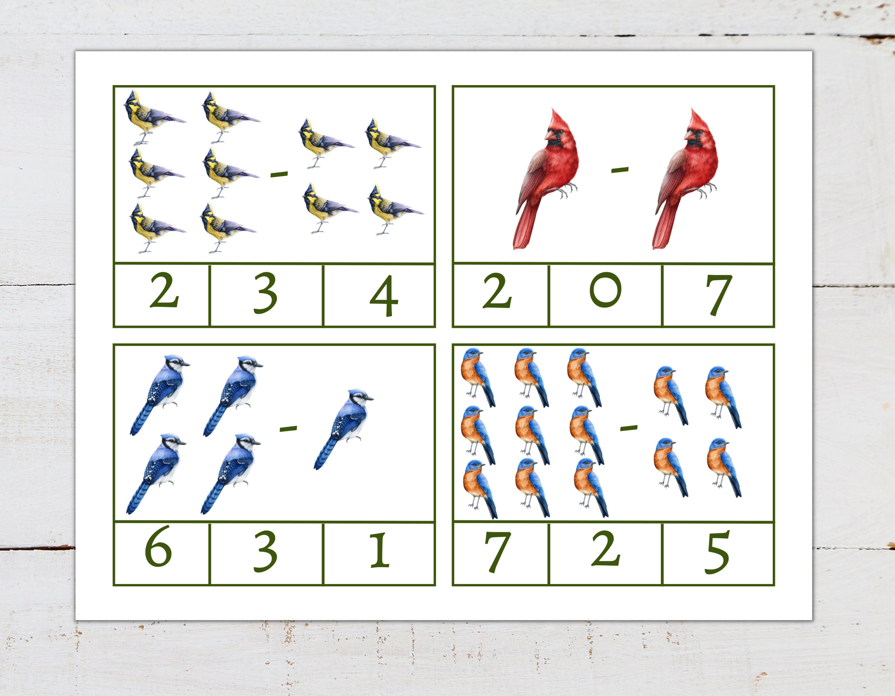 BIRDS Subtraction Clip Cards, 1 to 10, Early Math Activity for Kids ...