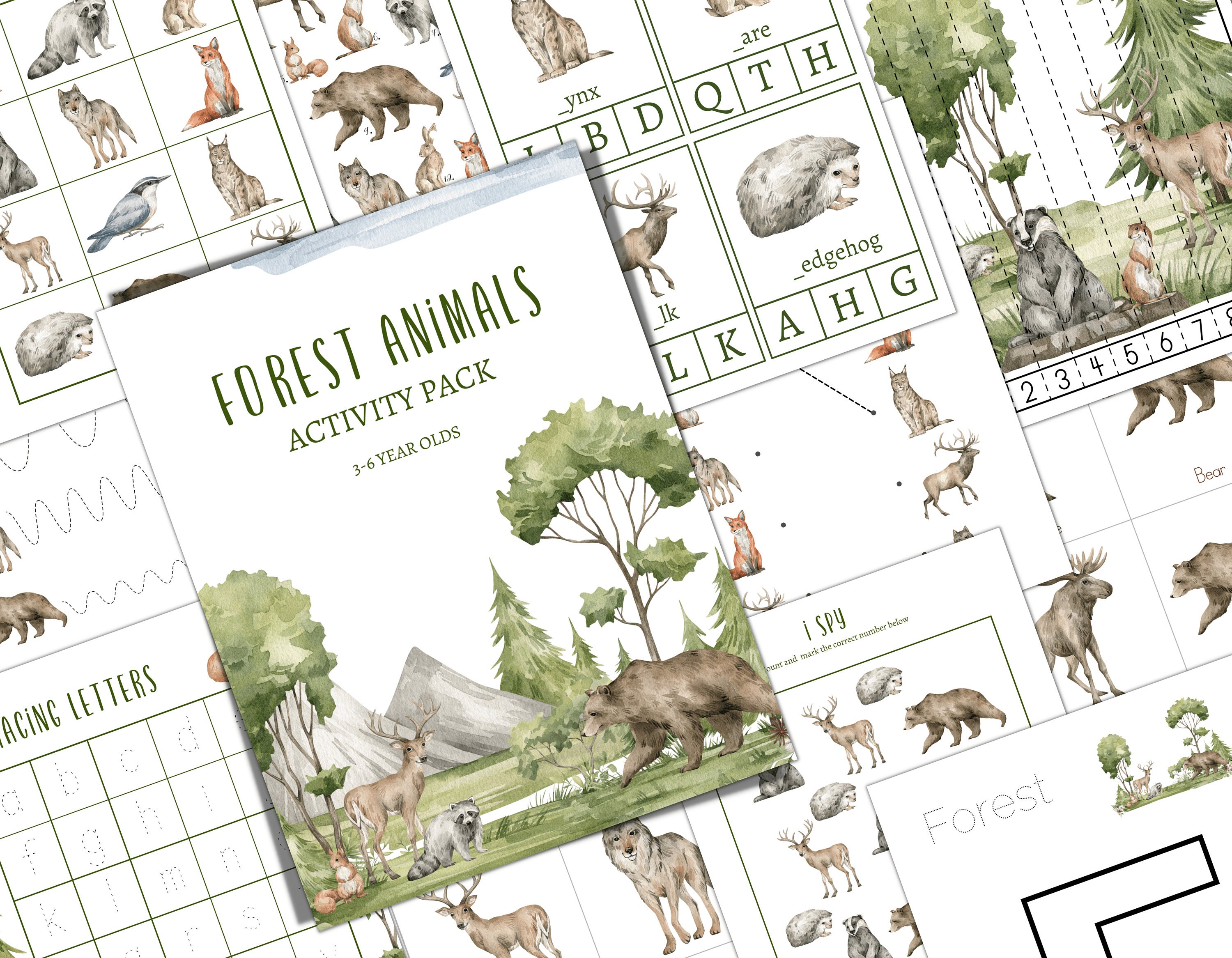 ANIMALS BUNDLE, Forest Animals, Australian Animals, African Animals ...