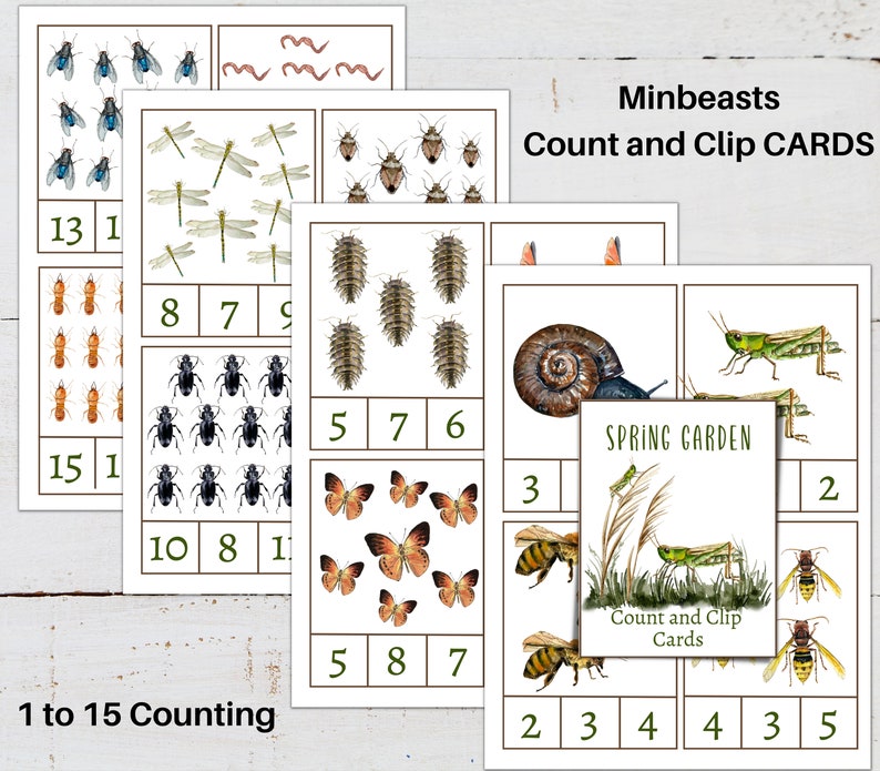 MINIBEASTS Count and Clip Cards 1 to 15 Counting Spring - Etsy