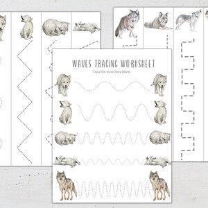 WOLF Mini Unit Study, Life Cycle, Anatomy, Nature Study, Science ...