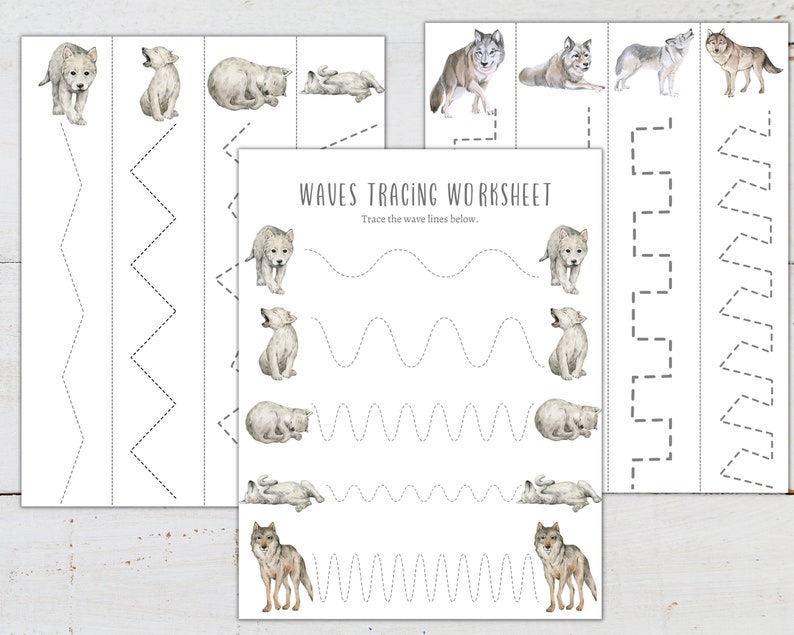 WOLF Mini Unit Study, Life Cycle, Anatomy, Nature Study, Science ...