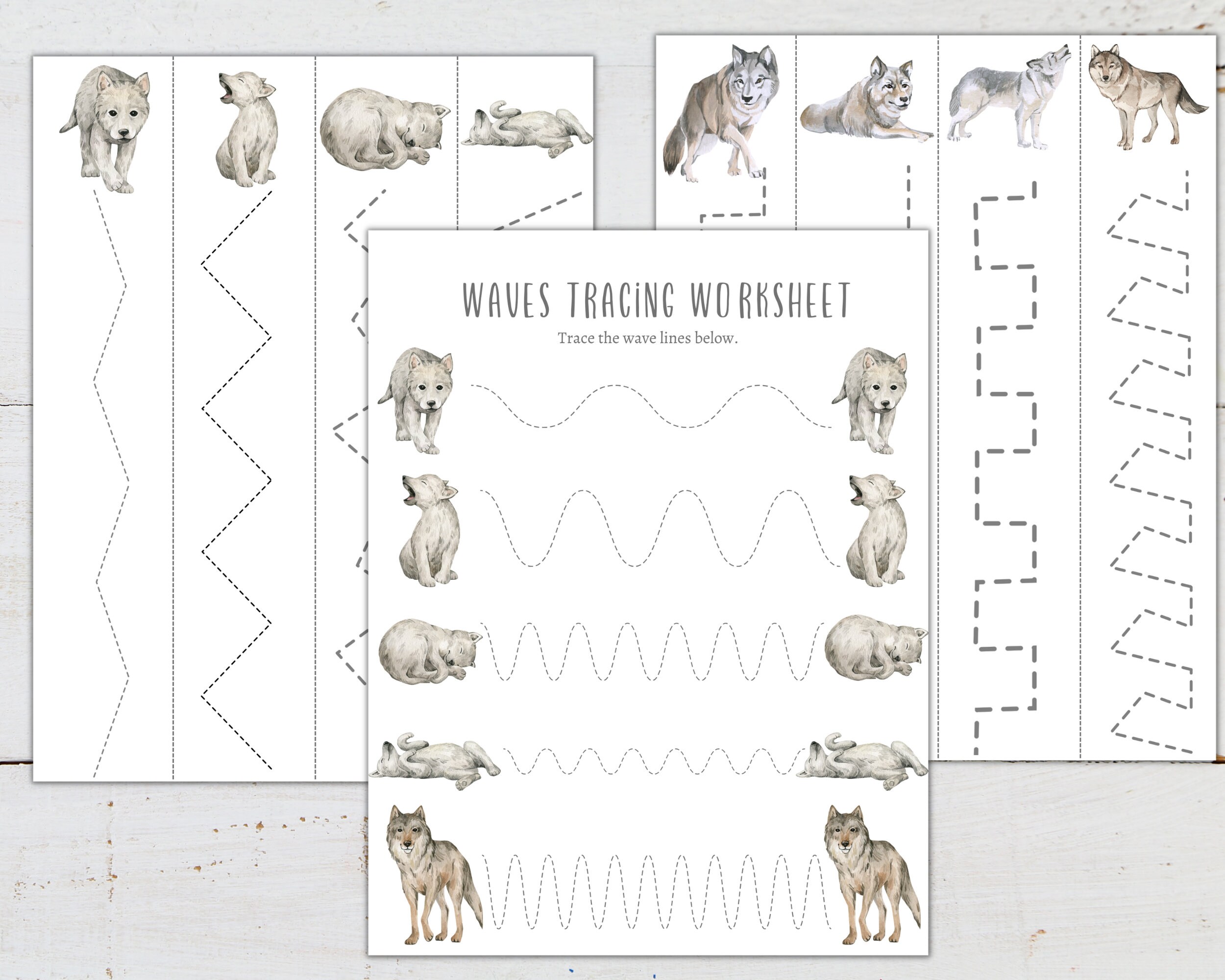 WOLF Mini Unit Study, Life Cycle, Anatomy, Nature Study, Science ...