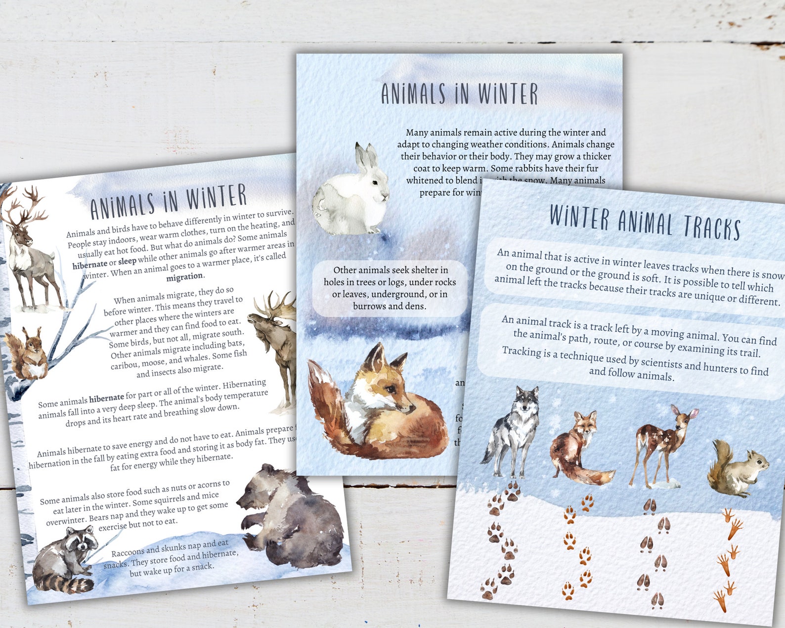 WINTER ANIMALS Unit Study, Life Cycle, Anatomy, Nature Study, Science ...