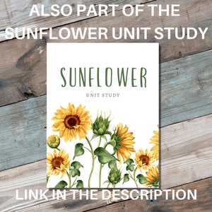 SUNFLOWER Anatomy Poster, Labeling and Tracing Activity, Homeschool ...