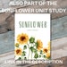 SUNFLOWER Anatomy Poster, Labeling and Tracing Activity, Homeschool ...