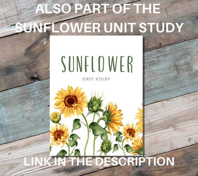 SUNFLOWER Anatomy Poster, Labeling and Tracing Activity, Homeschool ...