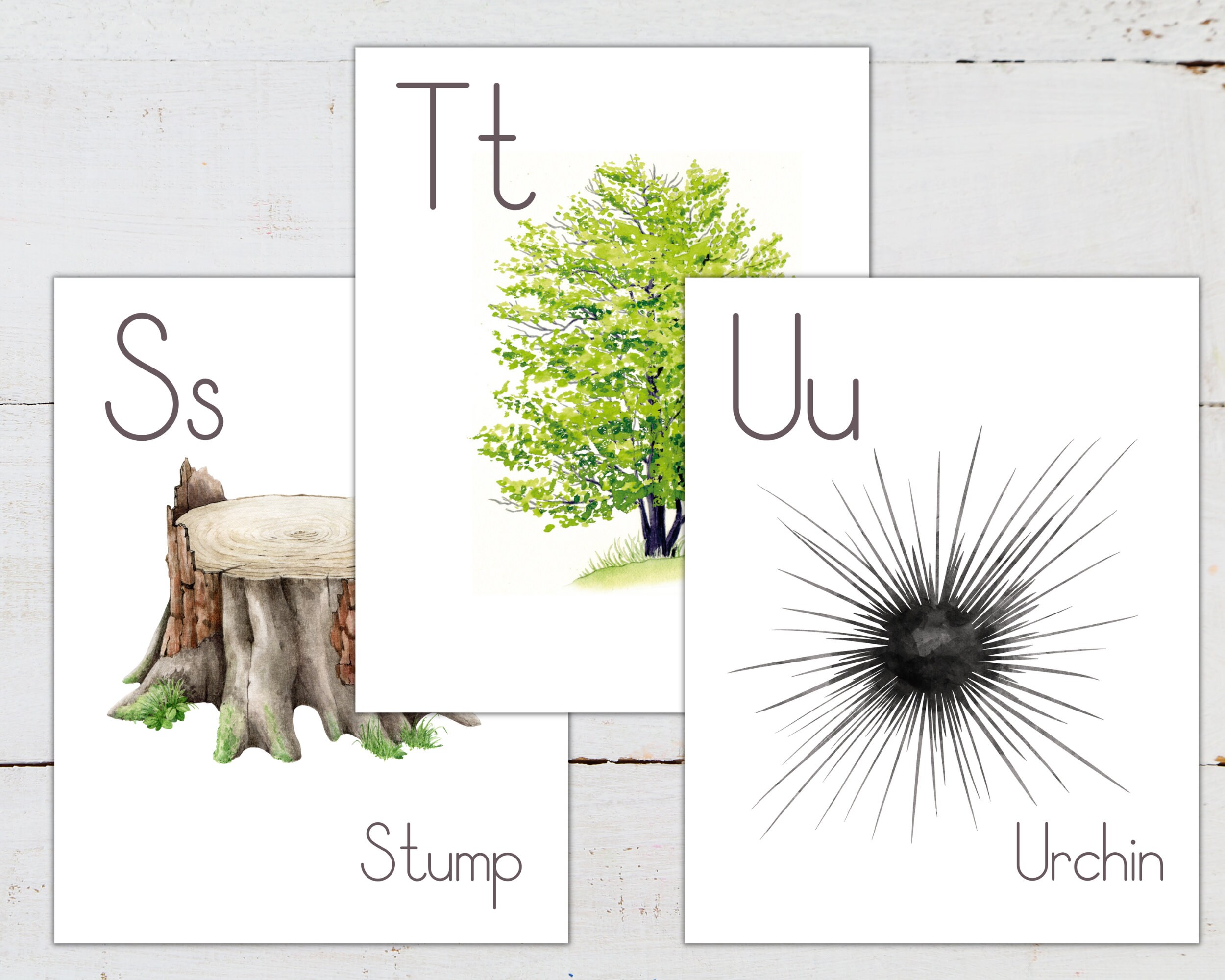 Alphabet Posters, Large Format for Classroom Use - Etsy