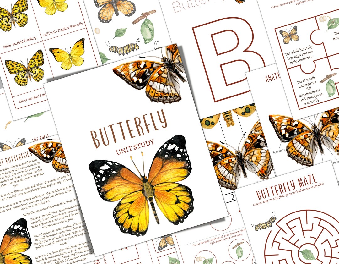 BUTTERFLY Unit Study, Life Cycle, Anatomy, Species, Nature Study ...