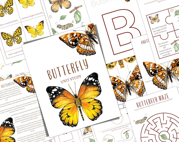 Butterfly Unit Study / Homeschool Unit Study / Kindergarten - Etsy