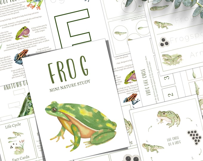 Frog Life Cycle Print, A5 Froggie Print, Cottagecore Frogspawn Tadpole ...