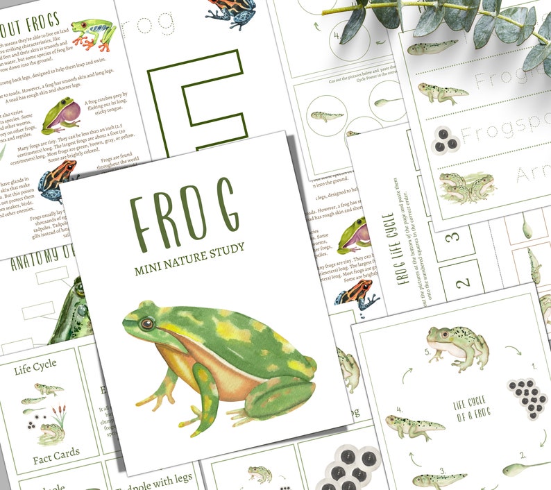FROG Unit Study Life Cycle Anatomy Nature Study Science - Etsy