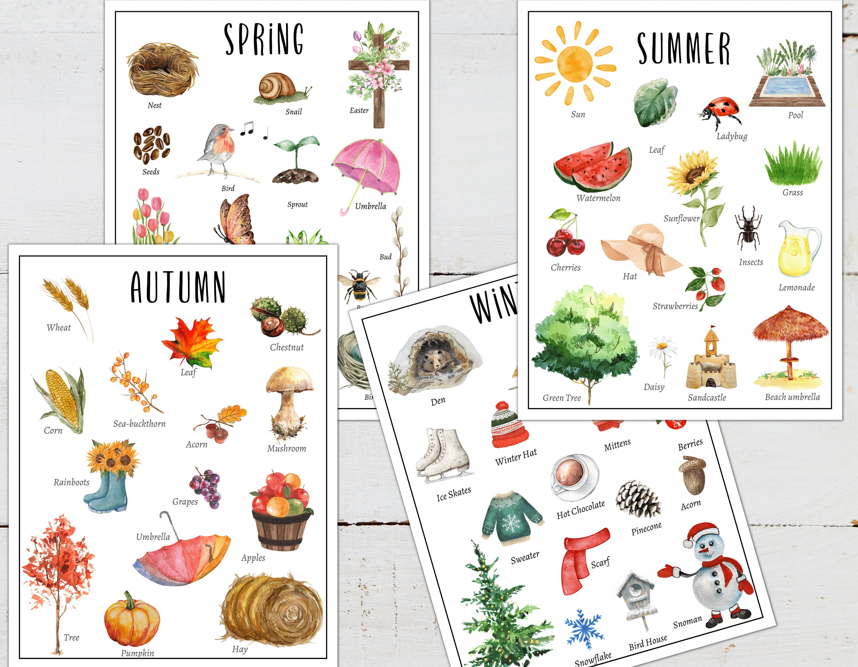 The Four Seasons Nature Study, Seasons Activities, Science, Handwriting ...
