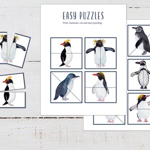 PENGUINS Unit Study, Life Cycle, Anatomy, Nature Study, Science ...