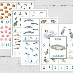 POND LIFE Unit Study, Life Cycle, Anatomy, Nature Study, Science ...