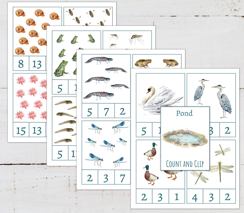POND LIFE Unit Study, Life Cycle, Anatomy, Nature Study, Science ...