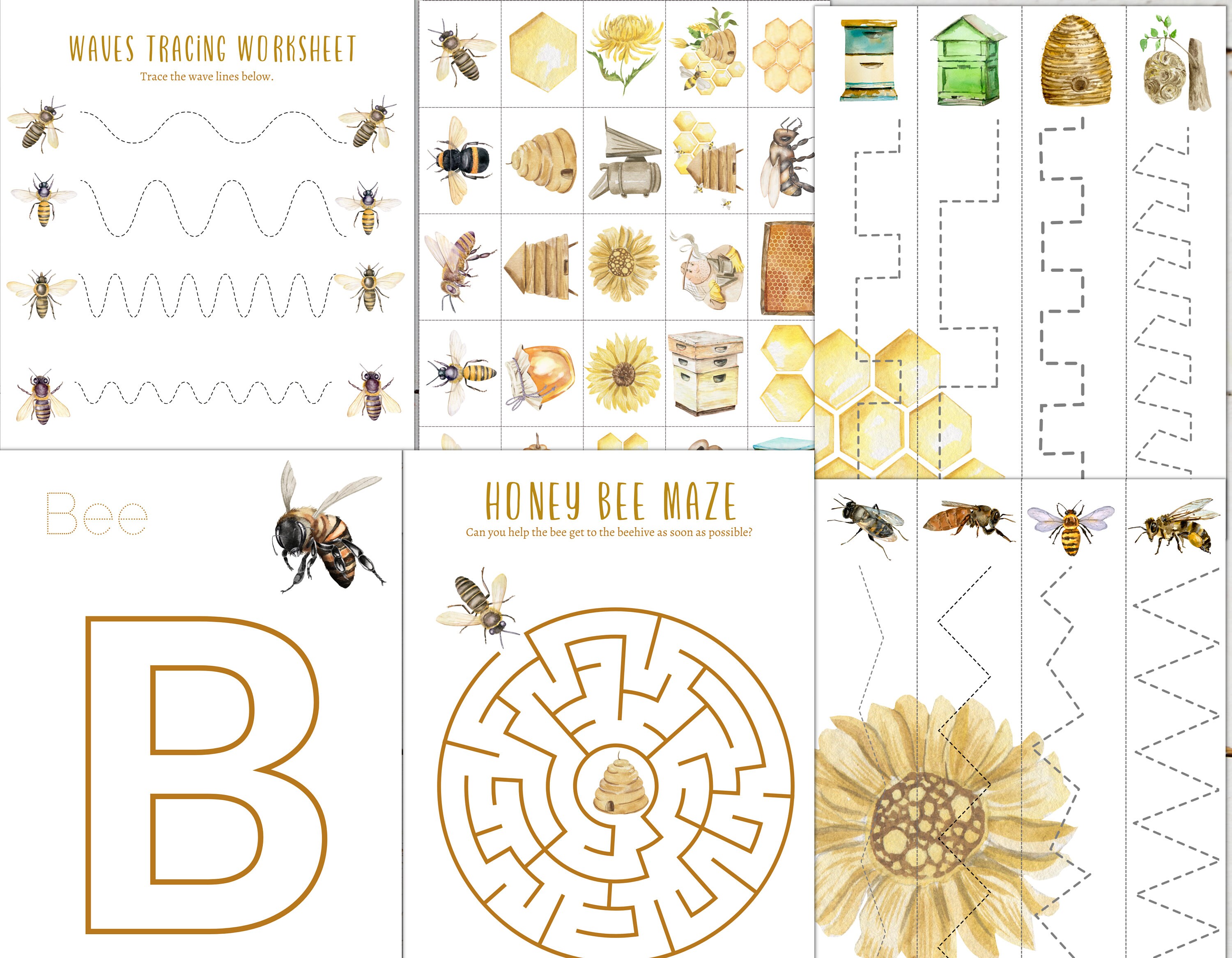 BEE Unit Study Life Cycle Anatomy Nature Study Science - Etsy Canada