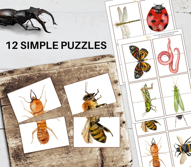 MINIBEASTS Pre-k and K Activity Pack Homeschool Digital - Etsy