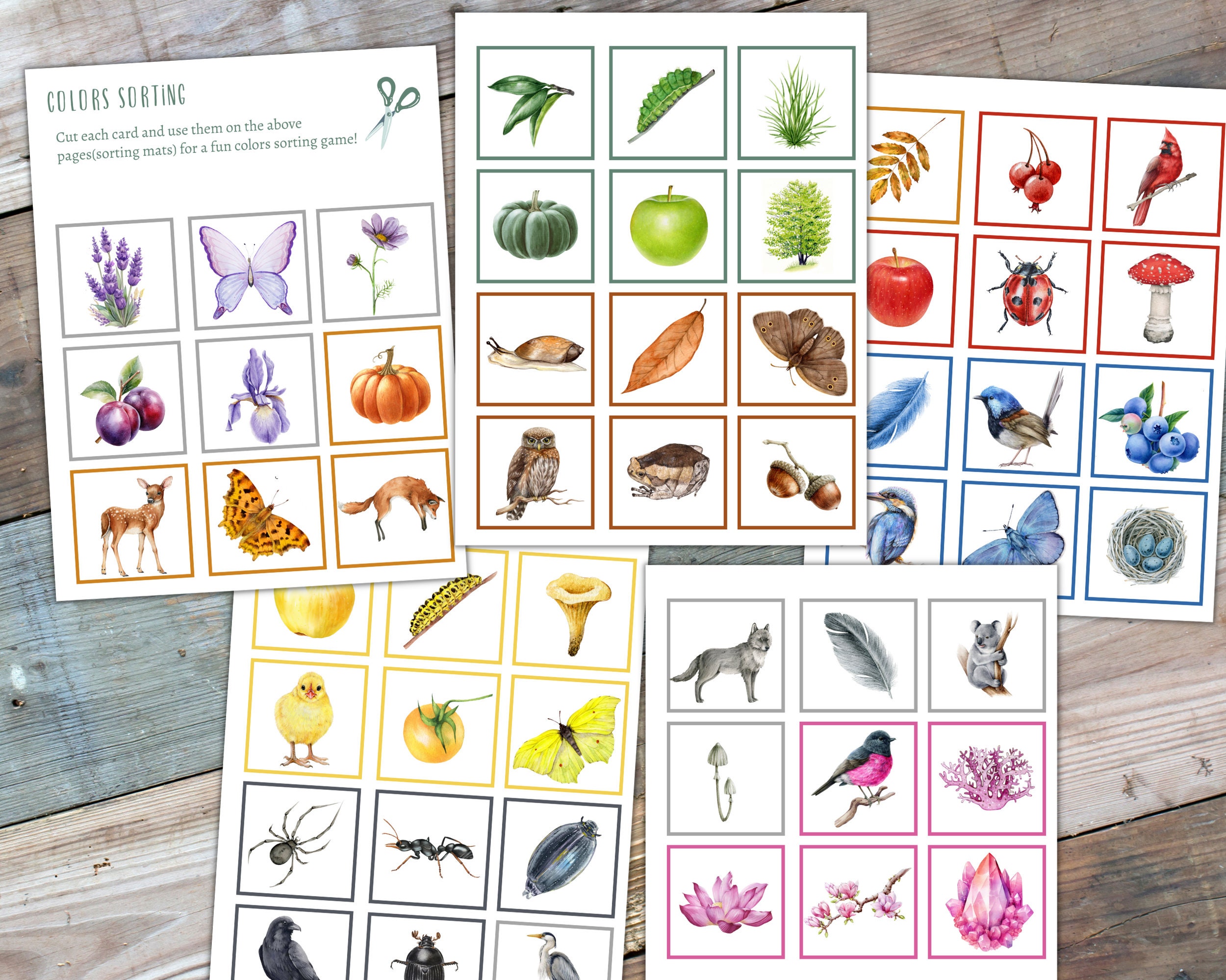 COLORS in Nature Activities Flashcards Color Flashcards - Etsy