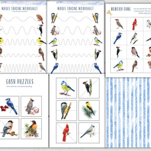 WINTER BIRDS Unit Study, Life Cycle, Anatomy, Nature Study, Science ...