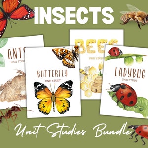 INSECTS BUNDLE, Bees, Ants, Ladybug, Butterflies Unit Studies ...