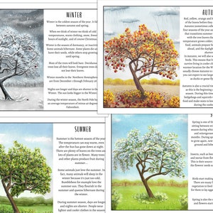 The Four Seasons Nature Study, Seasons Activities, Science, Handwriting ...