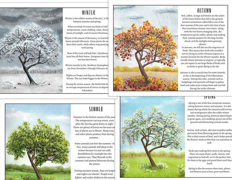 The Four Seasons Nature Study, Seasons Activities, Science, Handwriting ...