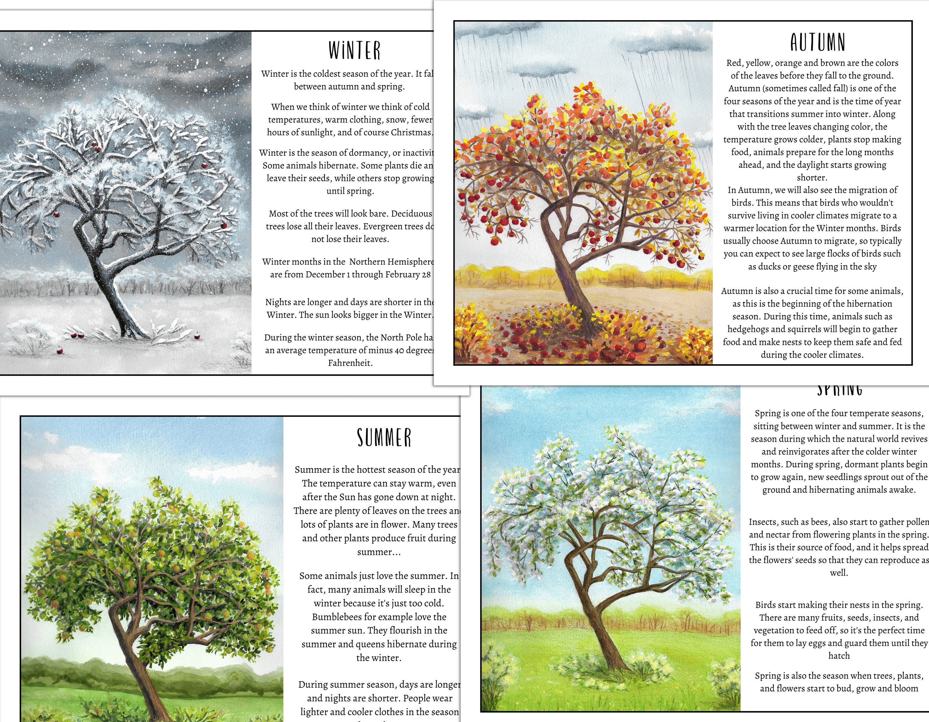 The Four Seasons Nature Study, Seasons Activities, Science, Handwriting ...