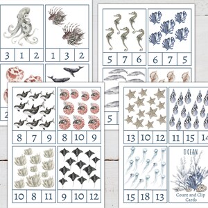 OCEAN Animals Pre-k and K Activity Pack, Homeschool, Digital, INSTANT ...