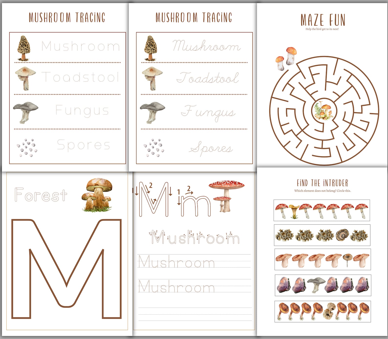 MUSHROOMS Pre-k and K Activity Pack, Homeschool, Digital, Instant ...