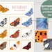 BUTTERFLY Pattern Matching Mat, Montessori, Nature Study Cards ...