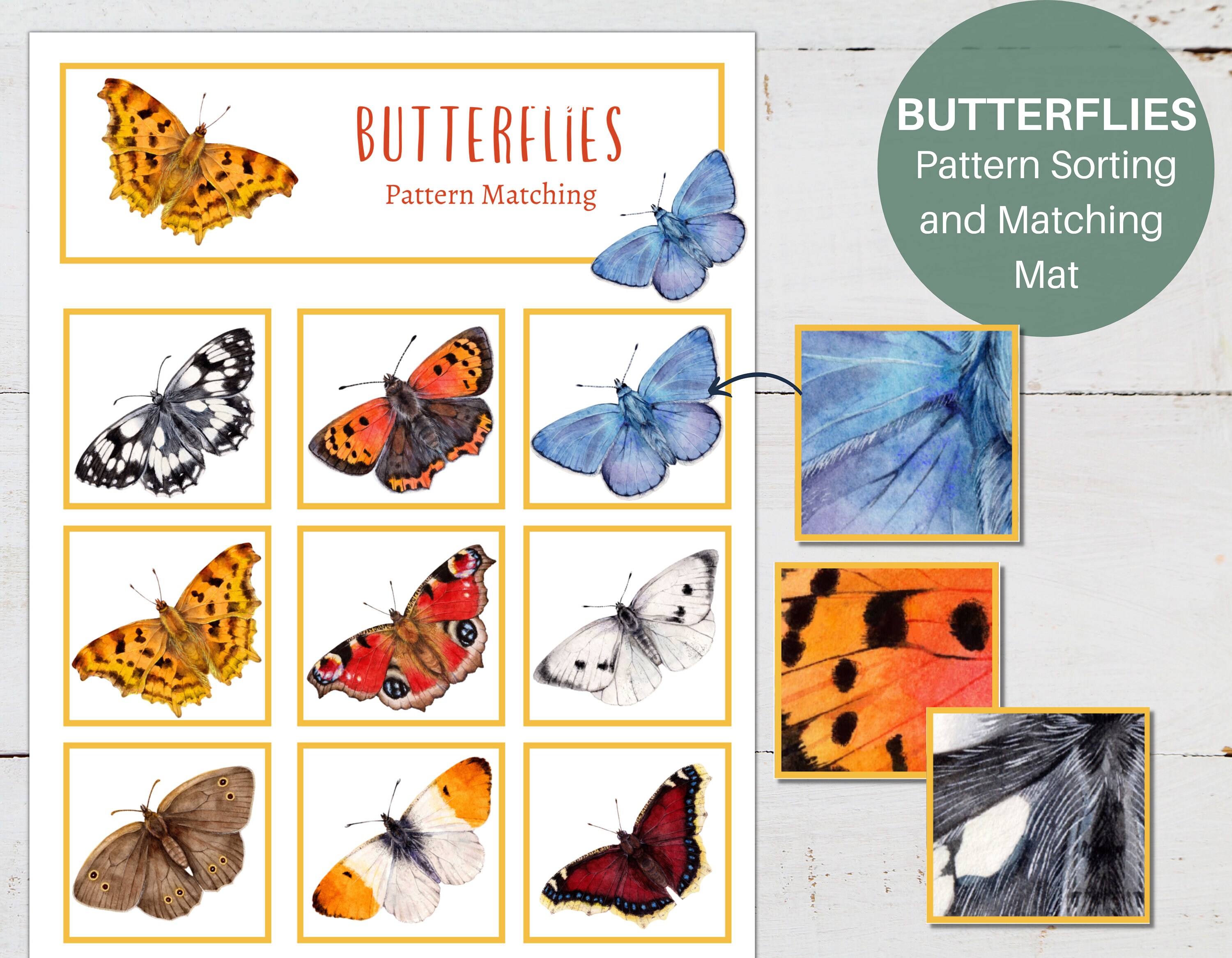 BUTTERFLY Pattern Matching Mat, Montessori, Nature Study Cards ...