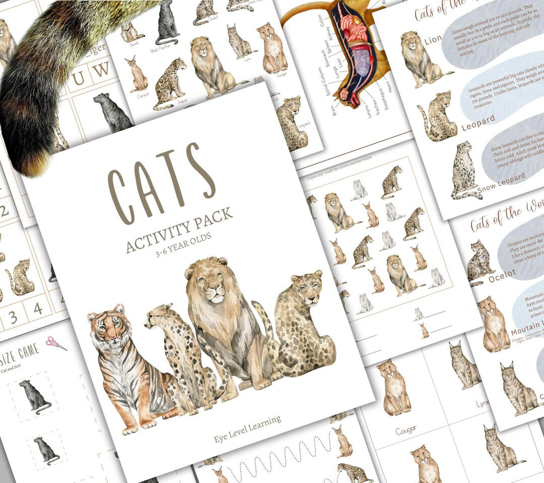 CATS Pre-k and K Activity Pack, Homeschool, Digital, INSTANT DOWNLOAD ...