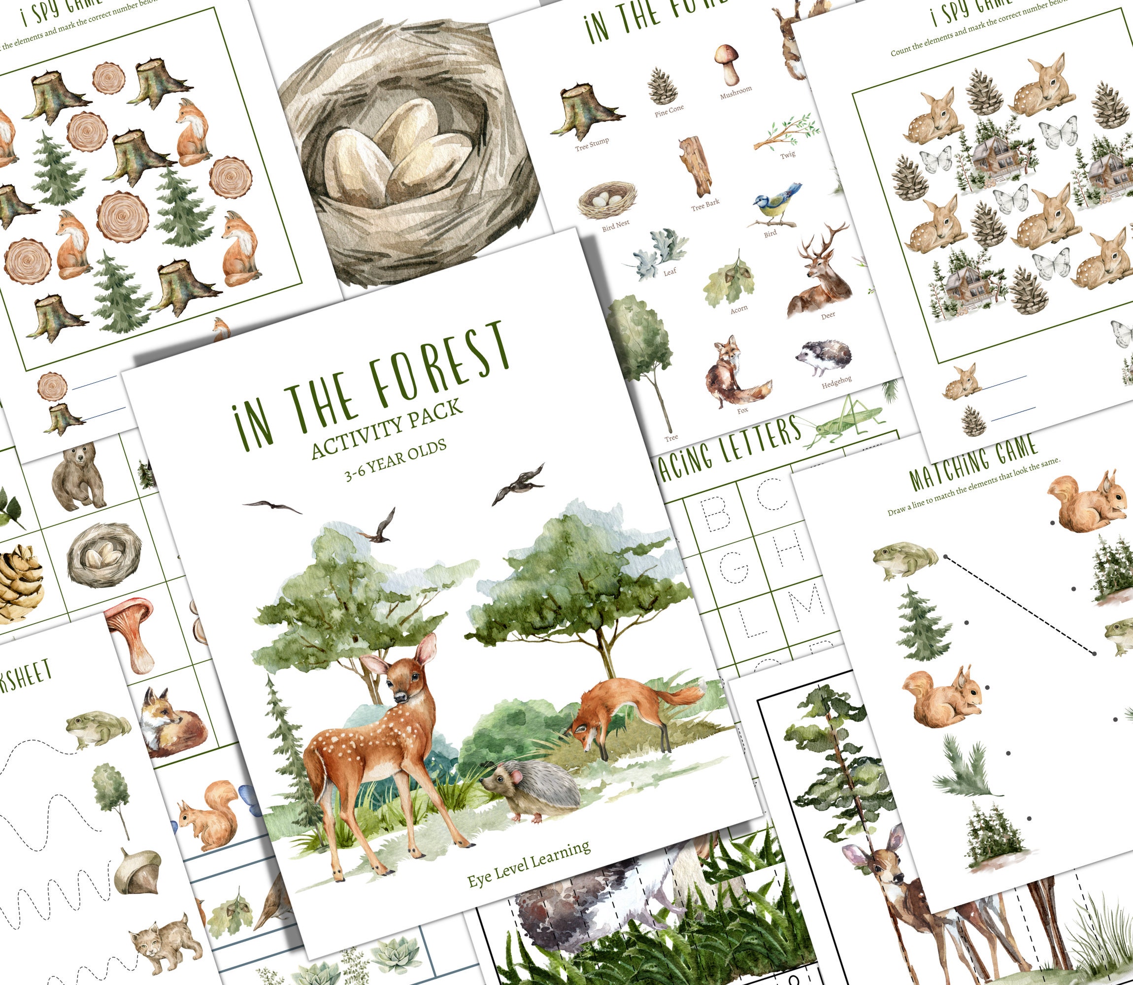 SUMMER BUNDLE, Summer Camping, Butterfly, Forest and Minibeasts ...