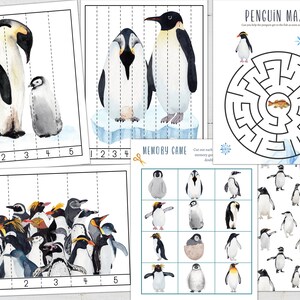 PENGUINS Unit Study, Life Cycle, Anatomy, Nature Study, Science ...