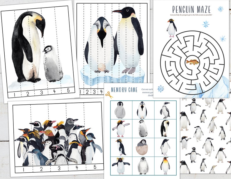 PENGUINS Unit Study Life Cycle Anatomy Nature Study - Etsy