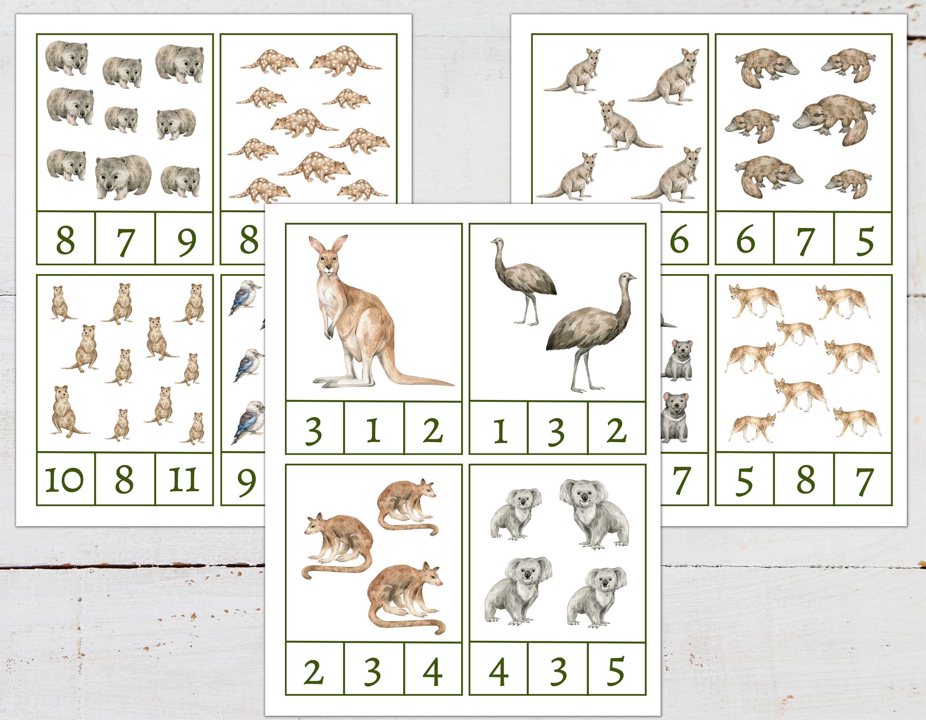 AUSTRALIAN Animals Count and Clip Cards, 1 to 12 Counting, Spring ...