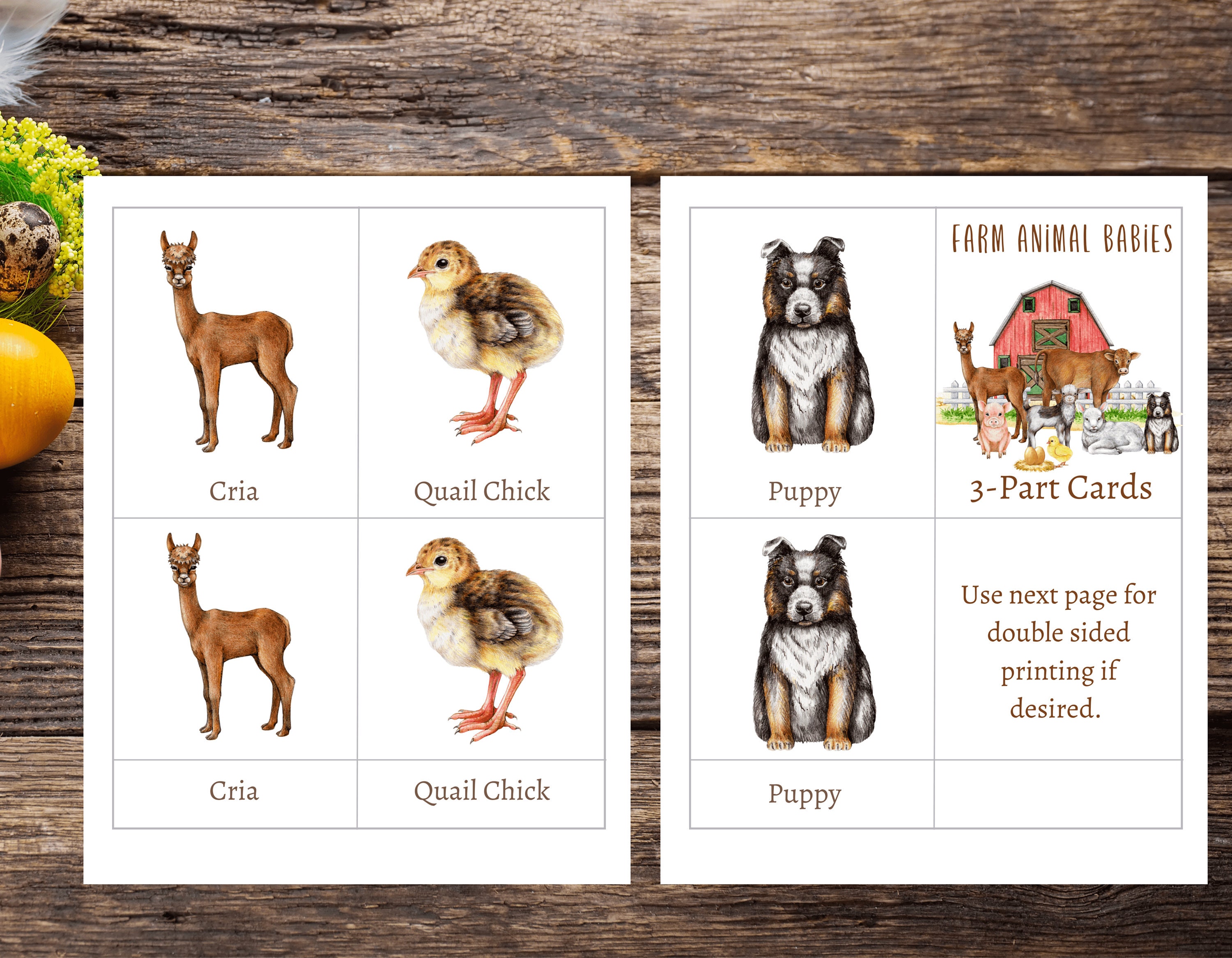 FARM BABY ANIMALS Mini Poster + 3-part Cards, Homeschool, Montessori ...