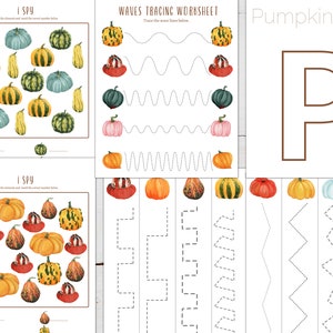 PUMPKIN Mini Unit Study, Life Cycle, Anatomy, Nature Study, Science ...