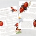 INSECTS BUNDLE Bees Ants Ladybug Butterflies Unit Studies - Etsy