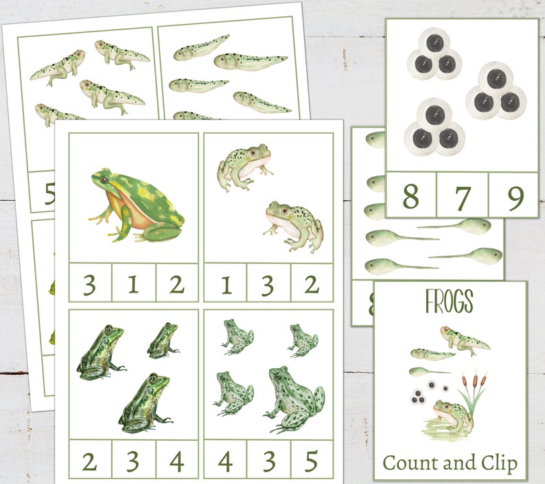 FROG Unit Study Life Cycle Anatomy Nature Study Science - Etsy