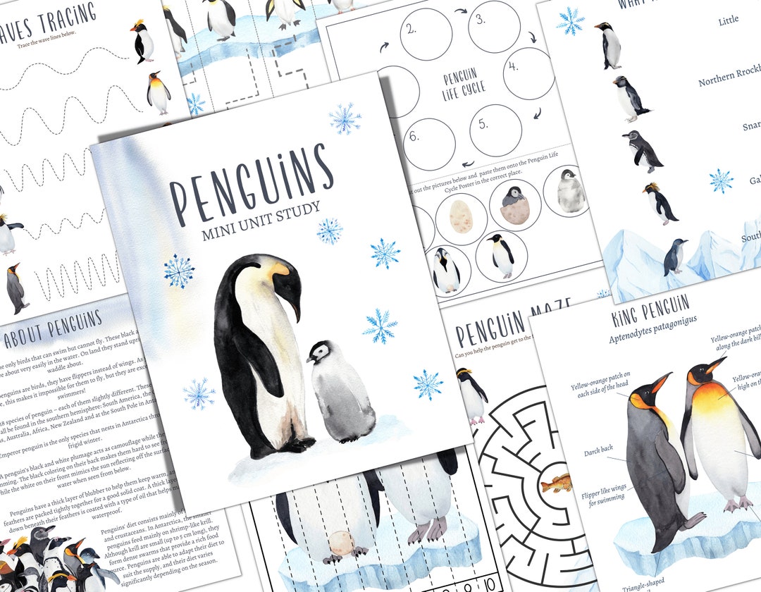 PENGUINS Unit Study, Life Cycle, Anatomy, Nature Study, Science ...