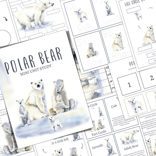 POLAR Bear Unit Study Life Cycle Anatomy Nature Study - Etsy