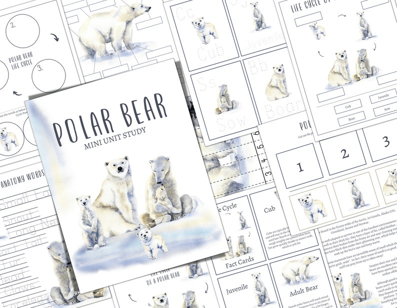 POLAR Bear Mini Unit Study Life Cycle Anatomy Nature Study - Etsy