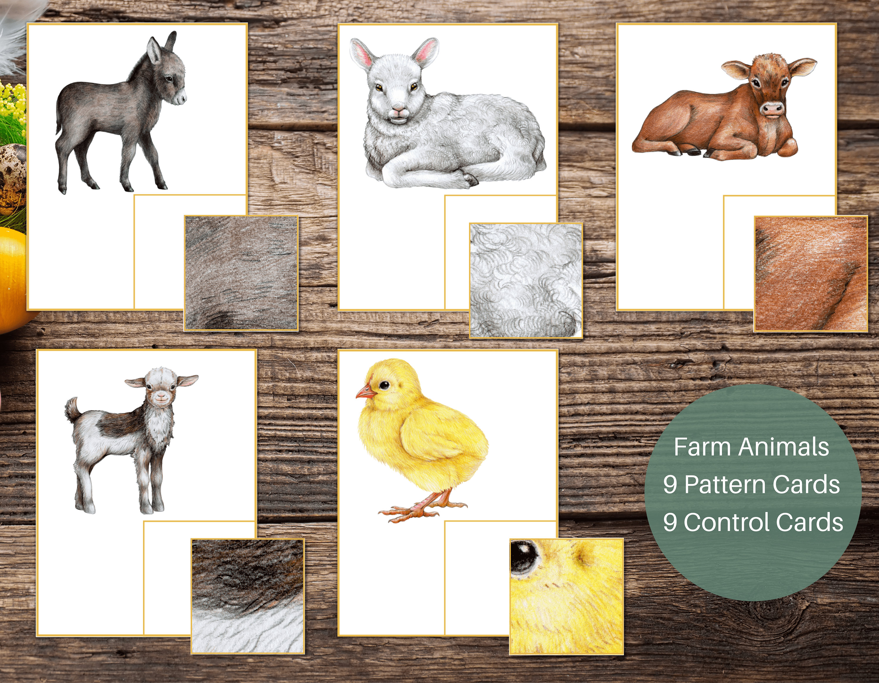 FARM Baby Animal Pattern Matching Cards, Montessori Farm, Nature Study ...
