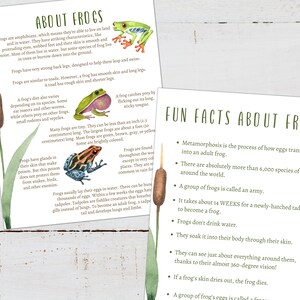 FROG Unit Study, Life Cycle, Anatomy, Nature Study, Science, Homeschool ...