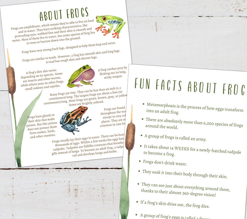 FROG Unit Study, Life Cycle, Anatomy, Nature Study, Science, Homeschool ...